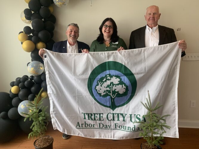Westfield named Tree City USA by Arbor Day Foundation | News, Sports ...